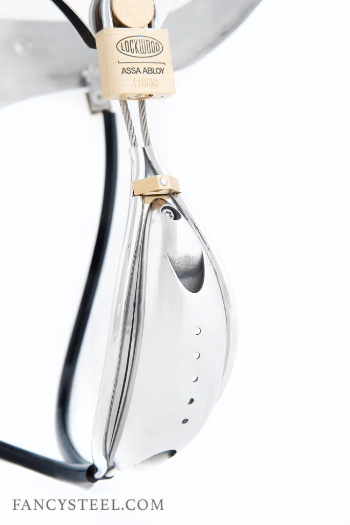 Woman's P1 Chastity shield only – Fancy Steel