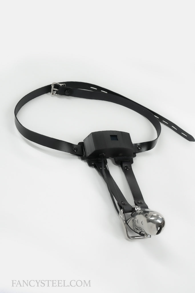 Advanced Chastity Trainer – Fancy Steel