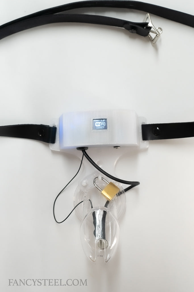 Advanced Chastity Trainer – Fancy Steel