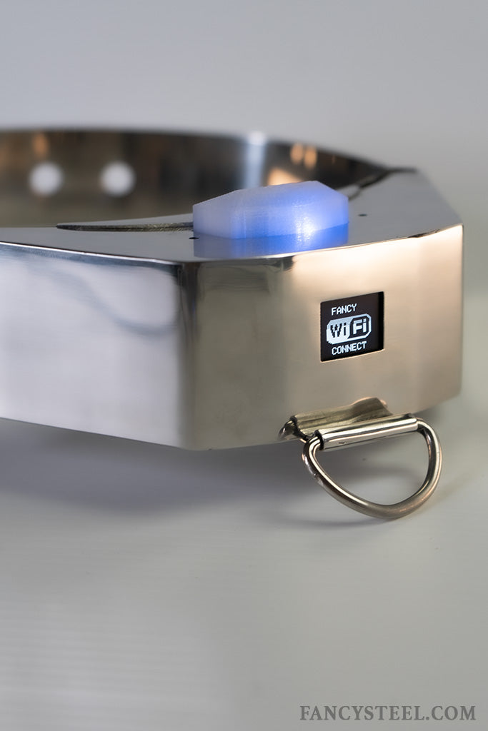 Advanced Training Collar XS – Fancy Steel