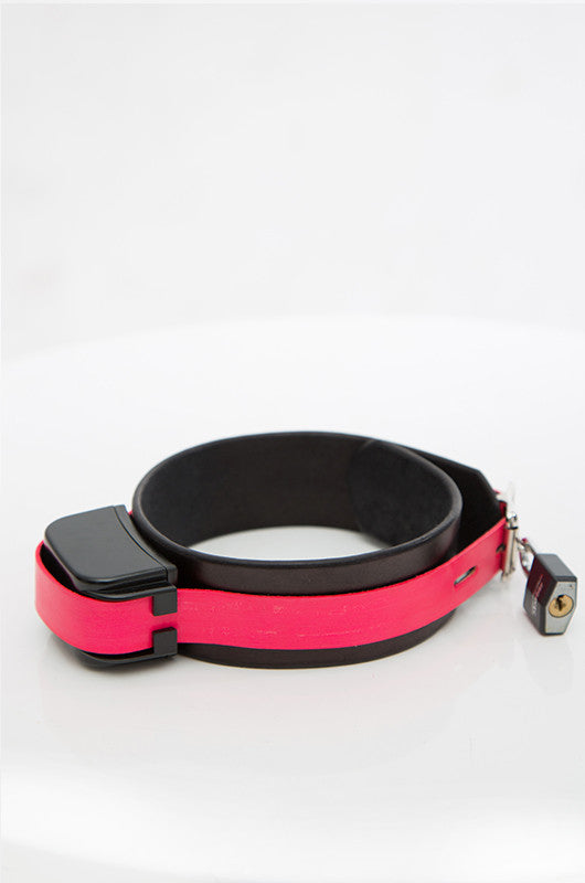 Shock Training Collar – Fancy Steel