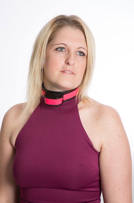 Shock Training Collar – Fancy Steel