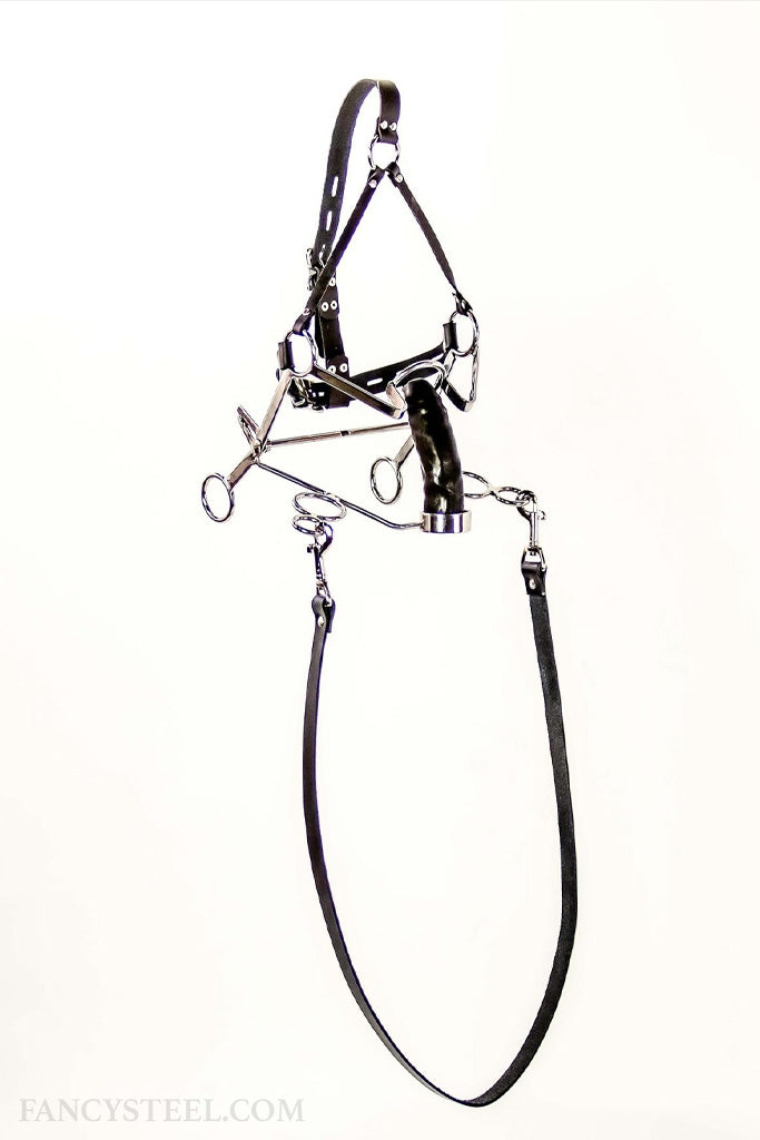 The Mouth Trainer 3.0 – Fancy Steel