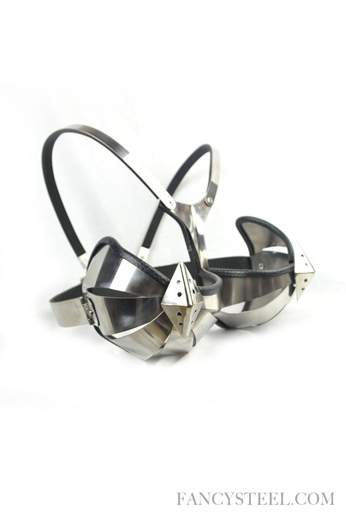 Female Chastity Belts – Fancy Steel