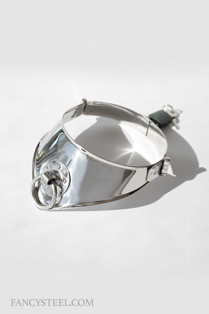 COLLARS – Fancy Steel